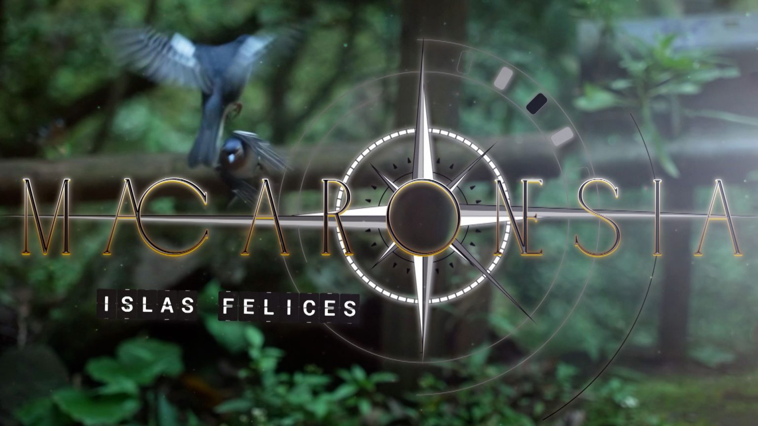 Macaronesia Islas felices – Videoreport Canarias